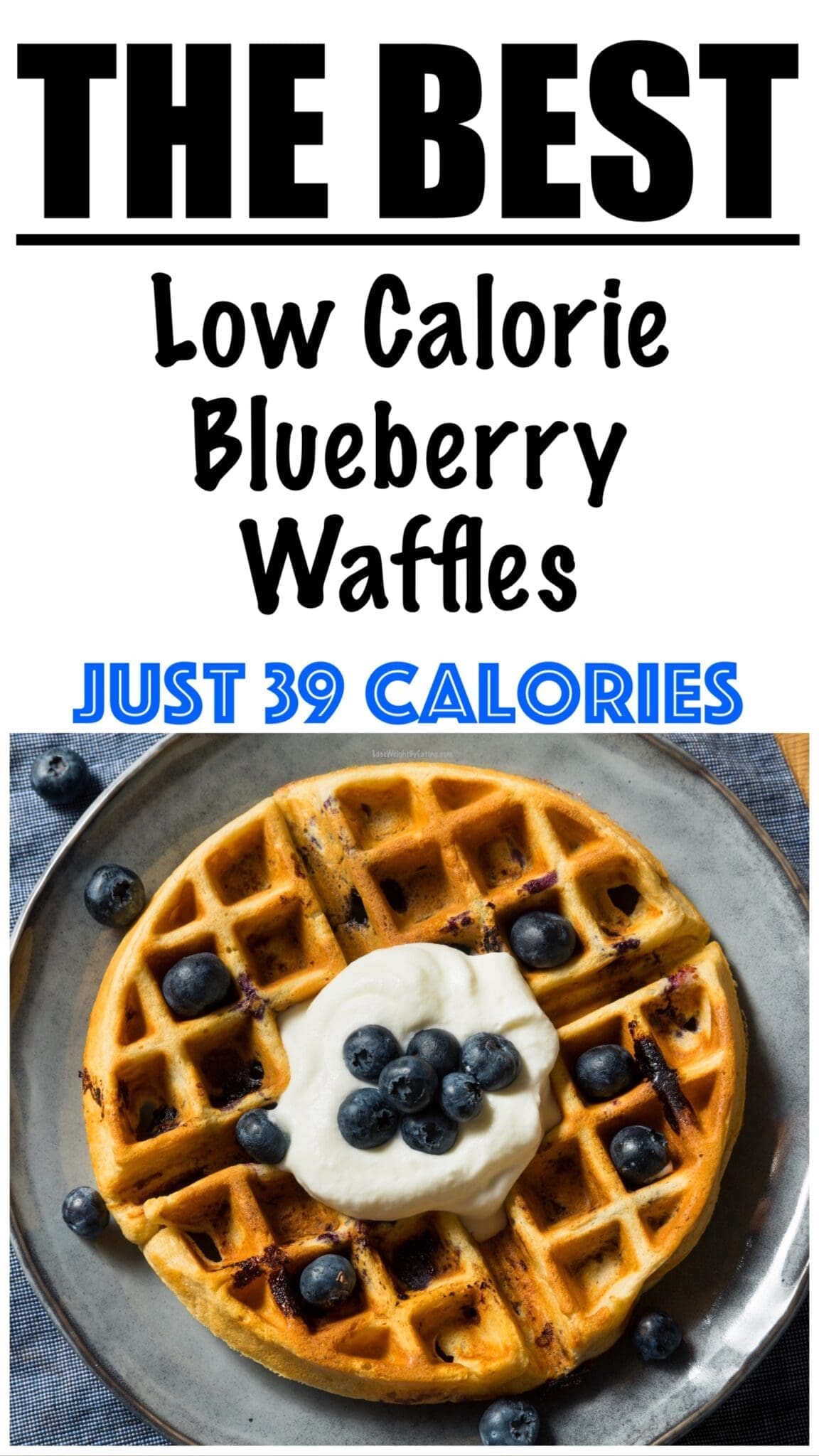 Low Calorie Blueberry Waffles - Lose Weight By Eating