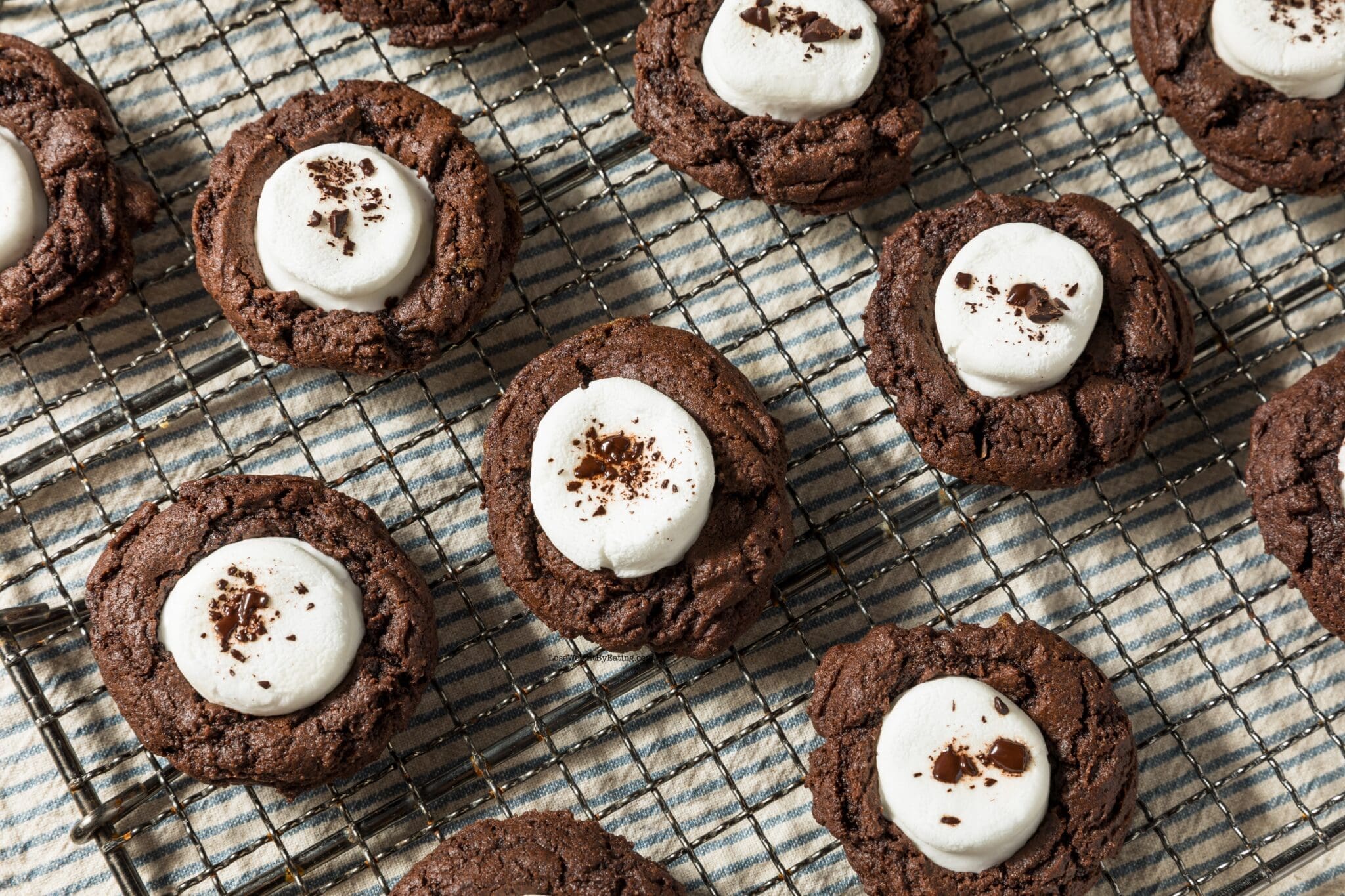 Low Calorie Hot Cocoa Cookies - Lose Weight By Eating