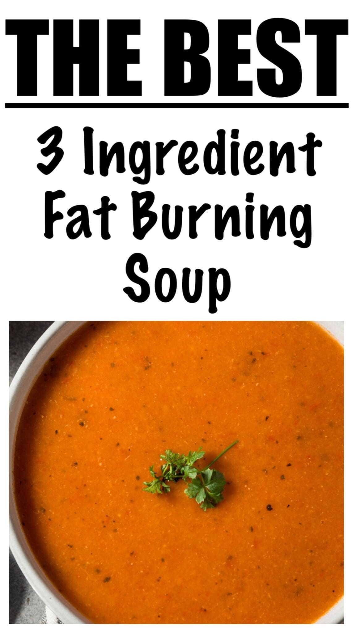3 Ingredient Fat Burning Soup - Lose Weight By Eating